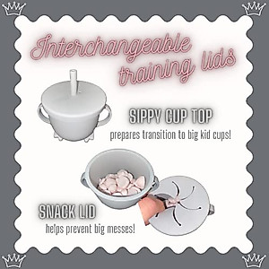 Baby Led Weaning 10 Piece Feeding Eating Supplies | Strong Suction Plate Silicone Cup Snack Lid Drink Lid with Straw Silicone Suction Bowl Bib Spoons Forks Baby Tableware Set 6MonthsToddler(PeachPink)