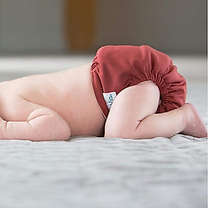 GroVia Newborn All in One Snap Reusable Cloth Diaper (AIO) (Petal)