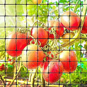 Gardzen 6.8ft x 30ft Anti Bird Netting, Pond Net with 20pcs Cable Ties - Protect Your Garden Vegetables Fruit Plants Ponds