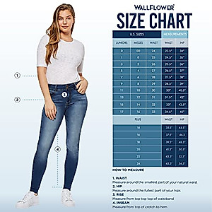 WallFlower Women's Carpenter Denim Low-Rise Insta Classic Juniors Jeans, Halsey, 17