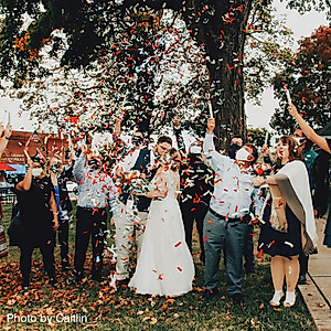 FameFame 10Pack Confetti Wands, Tissue Paper Flick Flutter Sticks for Wedding Celebrations, Anniversary, Birthday Party, Colorful, 7.8inch Confetti Popper