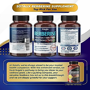 SOTALIX SUPPLEMENT Premium Berberine 19,370mg Plus Ceylon Cinnamon, Bitter Melon, Milk Thistle - Supports Immune System, Heart & Gastrointestinal Wellness - 150-day Supply (150 Count (Pack of 1))