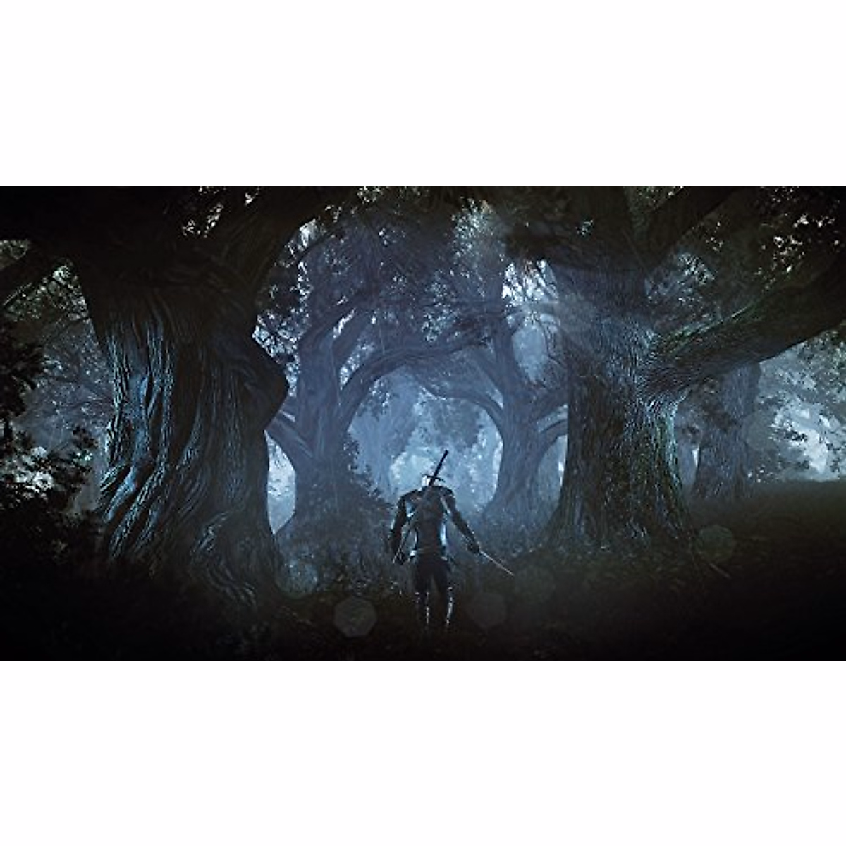 The Witcher: Wild Hunt (Comic Bundle) - PlayStation 4