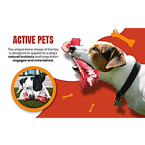 Chew Toys for Dogs. Durable and Safe for Dogs of All Ages and Sizes. Ensures Interactive Fun and Dental Care to Keep Your pet Healthy and Entertained.
