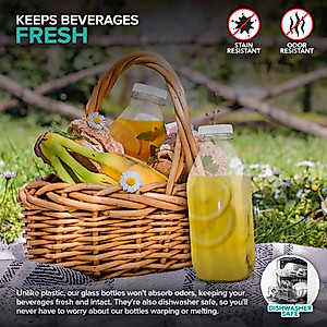 Stock Your Home Liter Glass Milk Bottle with Lid (3 Pack) 32 Oz Jugs and 6 White Caps, Reusable Food Grade Milk Container for Refrigerator, Bottles for Juice, Oat or Plant Milks, Water, Honey