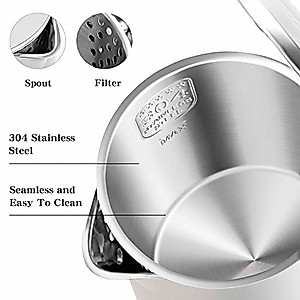 Dezin Electric Kettle, 0.8L Portable Travel Kettle with Double Wall Construction, Stainless Steel Electric Tea Kettle for Business Trip, Small Electric Kettle with Auto Shut-Off, White (Without Cup)