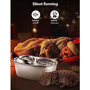 WOPET F10 Cat Water Fountain Stainless Steel,67oz/2L Pet Water Fountain,Automatic Cat Water Dispenser,Cat Bowl,Dog Water Fountain,Dishwasher Safe for Cats&Dogs (F10+1 Filter)