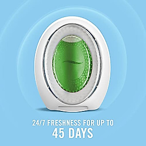 Febreze Small Spaces Air Freshener, Plug in Alternative for the Home, Berry & Bramble, Odor Fighter for Strong Odor (4 Count)