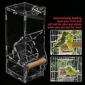 No Mess Acrylic Pet Parrots Birds Feeder with Perch Cage Automatic Food Feeder Cage Toy Parakeet Seed Food Container(L Single Type)