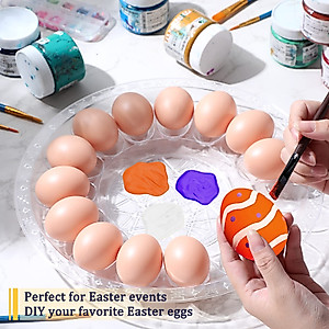 Shellwei Deviled Egg Tray with Lid 12 Inch Round Egg Containers with 15 Egg Slots Reusable Plastic Egg Holder Platter for Deviled Egg Fruits Veggie Finger Food
