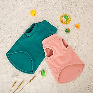 Dog Fleece Vest Warm Jacket Pullover Fleece Dog Sweater Cold Weather Cat Dog Clothes Coat Hoodie for Small Medium Dogs Green XL
