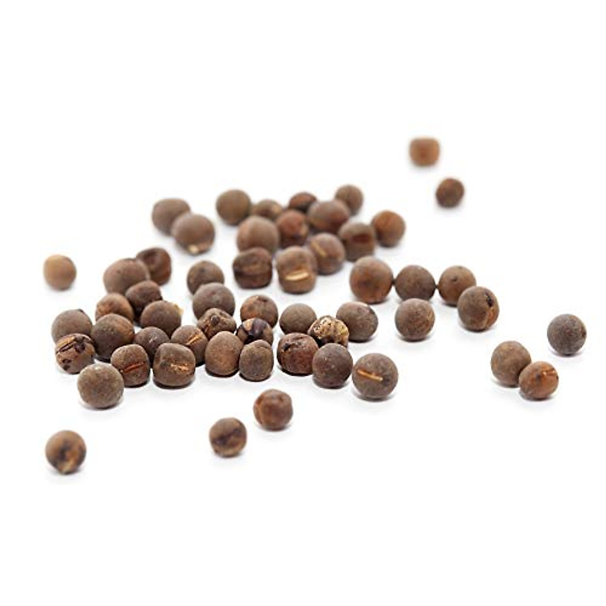 Earthcare Seeds Fragrant Sweet Peas 100 Seeds Royal Family (Lathyrus odoratus)