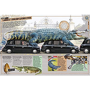 Guinness World Records 2020