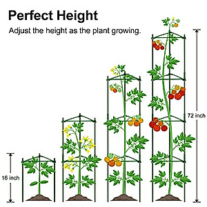 CKE 3 Pack Tomato Cage – Plant Stakes and Support with Clips - Upto 72 inches Tall with 40 Pcs Clips + Garden Twist Ties