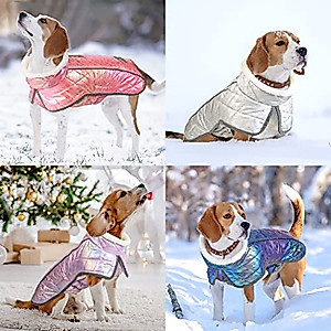 Dog Winter Coat, Christmas Dog Jacket with Trench Coat Collar Design, Waterproof Dog Sweater with Harness Hole & Reflective Stripes, Warm Pet Vest for Small Medium Extra Large Dogs (Purple, M)