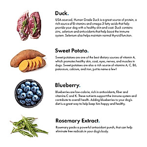 Pet Jerky Factory Premium Duck and Blueberry 12 oz. Dog Jerky Treats | 100% Human Grade | USA Made | High Protein | Grain Free | Limited Ingredients | No Filler | BHA-BHT Free | Soft-Tender