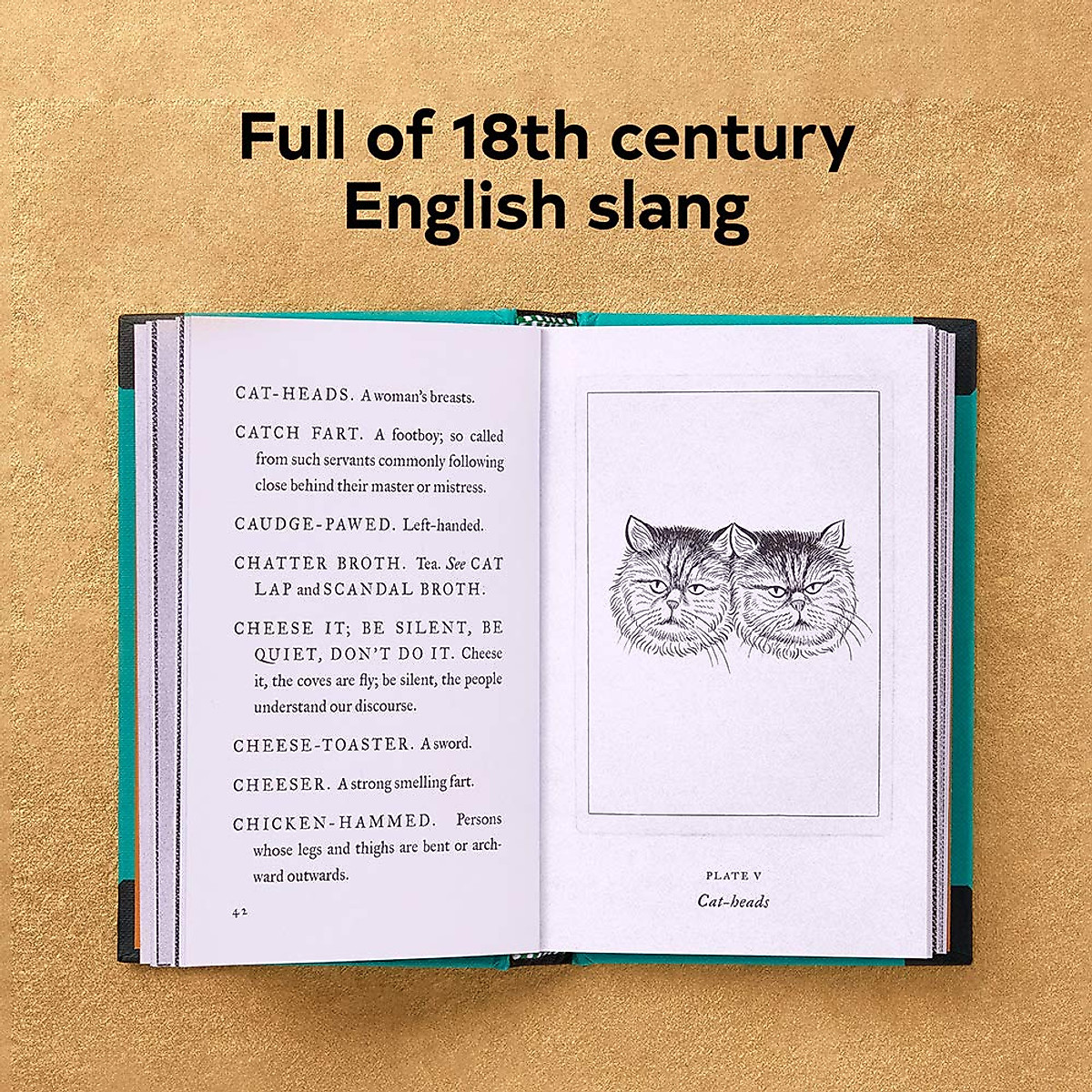 A Pocket Dictionary of the Vulgar Tongue: (Funny Book of Vintage British Swear Words, 18th Century English Curse Words and Slang)