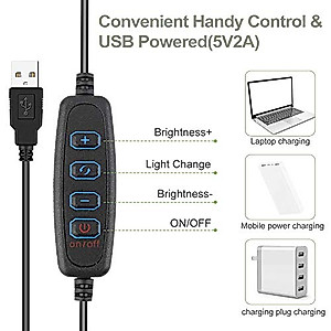 Selfie Ring Light with Tripod Stand for Zoom Meeting, Dimmable Desktop LED Clip on Video Light, 6.3'' Lighting Kit Gifts for Live Streaming/Laptop Video Conference/Makeup/Vlog/YouTube/Tiktok