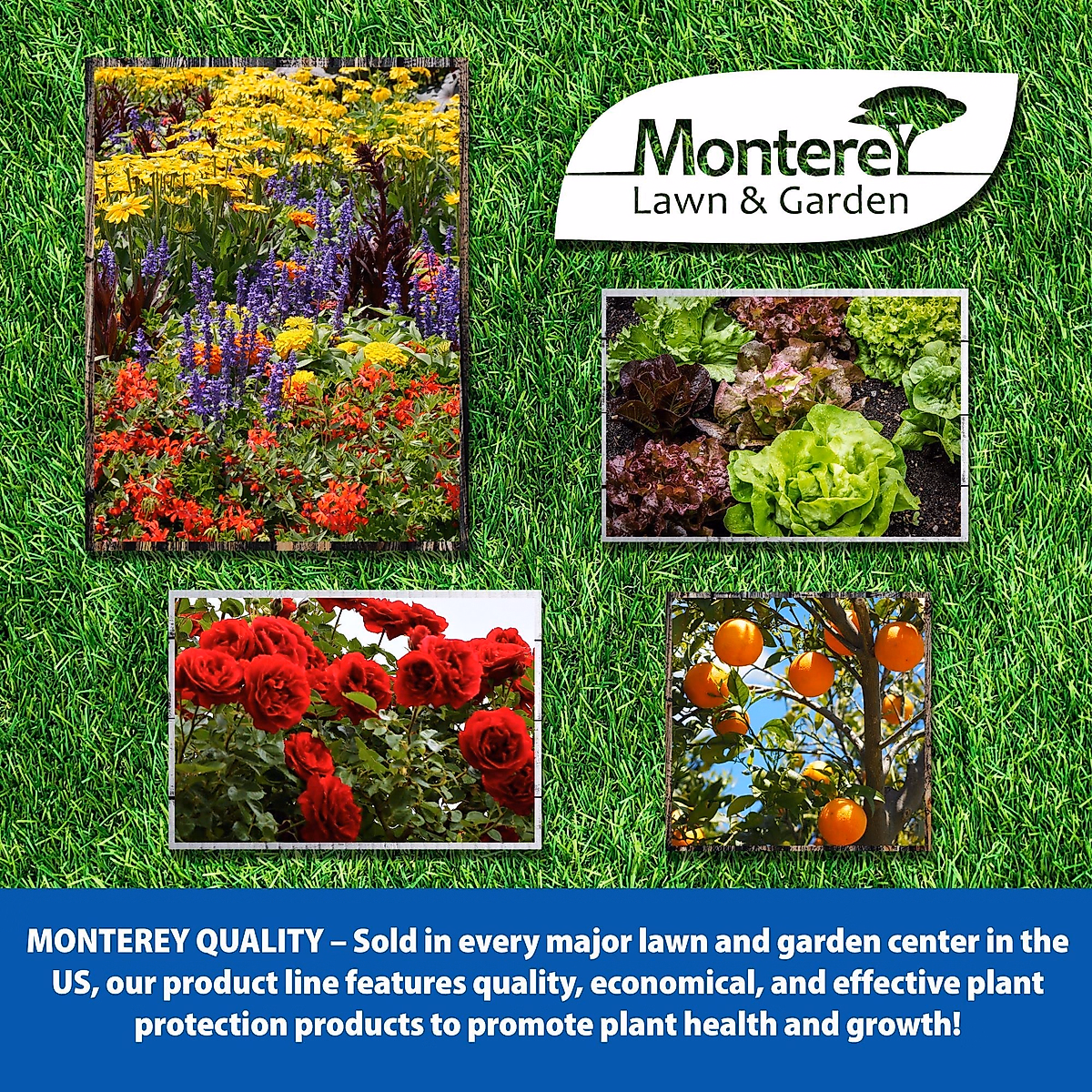 Monterey Remuda Broad Spectrum Non-Selective Post-emergent Herbicide Concentrate for Vegetation Management and Ornamental Weed Control, 32oz