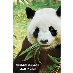 Agenda Escolar 2023 2024 Panda: Organizador Semanal una semana Por dos Páginas, Planificador Escolar Para Estudiantes (primaria, Secundaria, preparatoria, universidad) (Spanish Edition)