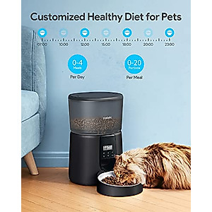 Automatic Cat Feeders,Katalic Clog-Free 4L Cat Food Dispenser with Sliding Lock Lid Storage Timed Feeder for Cat and Dogs with Voice Recorder, Programmable Meal & Portion Automatic Feeder (Gray black)