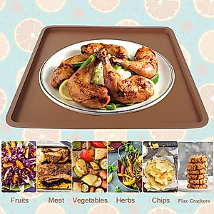 6Pcs Silicone Dehydrator Sheets - Nonstick Silicone Drye Mats with Edge , Compatible with Cosori CP267-FD, Multi-purpose Reusable for Jerky, Fruit, Meat, Herbs, Vegetables, Crackers