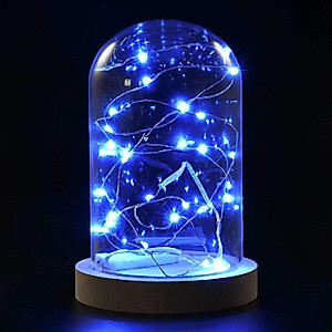 12 Pack Fairy Lights Battery Operated with Timer 6.5feet Silver Wire 20 LEDs Waterproof 8 Modes Twinkle Lights for Garden Bedroom Wedding Christmas Party Mason Jar Decor Celebration Lighting (Blue)