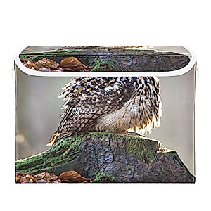 Kigai Storage Basket Cute Owl Storage Boxes with Lids and Handle, Large Storage Cube Bin Collapsible for Shelves Closet Bedroom Living Room, 16.5x12.6x11.8 In