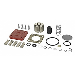 Fill-Rite 4200KTF8739 Rebuild Kit for 600, 1200, 2400, 4200, and 4400 Series with Rotor Cover