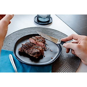 DURA LIVING Premium 4-Piece Steak Knife Set – Sharp Serrated Blades, Forged High Carbon Stainless Steel, Full Tang, Ergonomic Handle, Royal Blue – Ideal for Dining & Entertaining