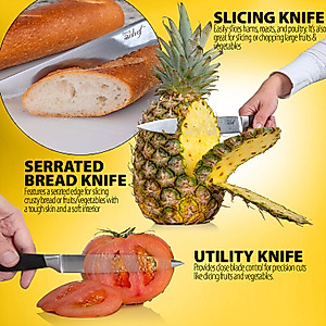 Deco Chef 12-Piece Stainless Steel Kitchen Knife Set with Full Tang High Grade Blades and Wooden Storage Block, Sharpening Manual Included