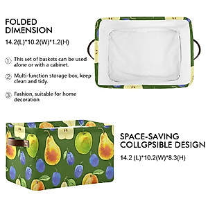 FRODOTGV Beautiful Pear Storage Containers Foldable Foldable Storage Bins Storage Containers for Shelves Shelves Shelves 1 Pack