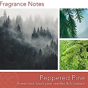 Manly Indulgence Peppered Pine Scented Jar Candle, All American Collection, 2 Wick, Red, 15 oz - Up to 60 Hours Burn