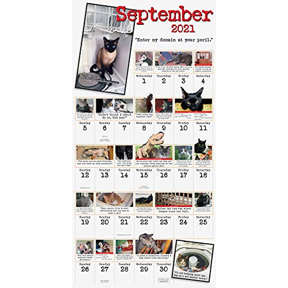 Bad Cat Wall Calendar 2021