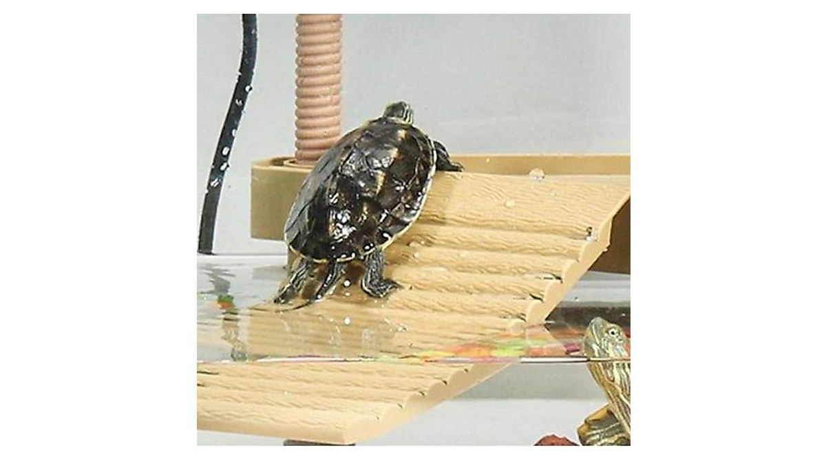 Floating Turtle Basking Platform for Reptile & Frog Tanks
