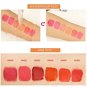 6 Colors/Set Wine Lipstick, Long Lasting Waterproof Lip Tint Set, Matte Lip Gloss Lipsticks Lip Stain