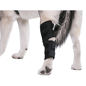 AGON® Dog Leg Braces for Back Leg wrap hock Compression Protects Wounds and Helps heal hind Legs Rear Ankle Joint, preventing Injuries, sprains Providing Stability for Dogs, Canines Arthritis (Small)