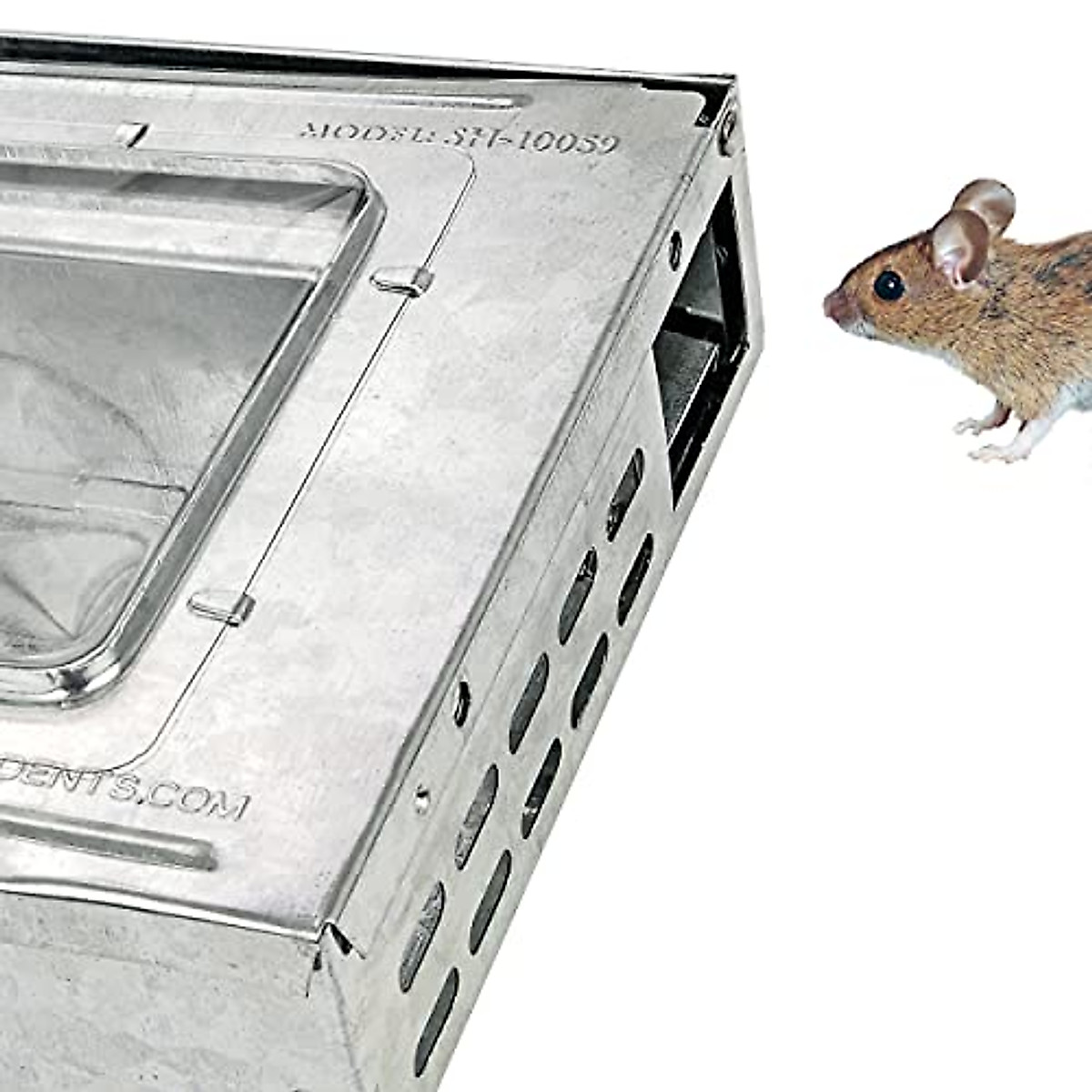 Southern Homewares - SH-10059-2PK Itrap Multi-Catch Clear Top Humane Repeater Mouse Trap, 2 Pack