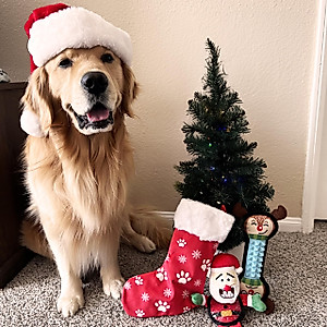 DOGZSTUFF Christmas Dog Toys with Dog Christmas Stocking - 3 Pack Durable Squeaky Xmas Dog Toys for Small Medium and Large Dogs Plus Reusable Holiday Stocking