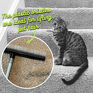 A-to-Z Supply Room Groom Carpet Rake Groomer with Telescoping 54" Adjustable Handle & Portable Lint Remover Brush Tool, Carpet Brush Ideal for Pet Hair, Refreshing Carpets, Rugs, and Artificial Turf