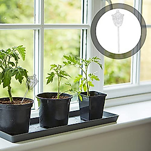 Yardwe House Plants House Plants Indoors Live 2pcs Practical Bonsai Plant Watering Globe Clear Glass Watering Device Cute Shape Waterer Bulb House Plants Plant Watering Globes