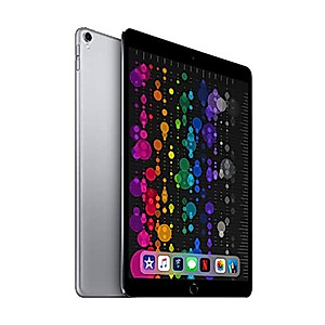 Apple iPad Pro 10.5in - 256GB Wifi - 2017 Model - Gray (Renewed)