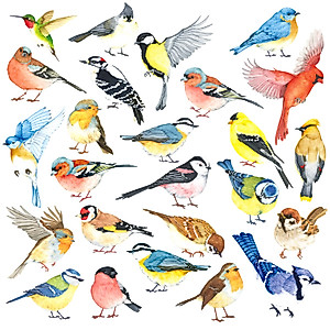 DECOWALL DS4-8063 25 Little Birds Wall Art Decals Stickers Kids Peel and Stick Removable Nursery Bedroom Living Art décor Tree Flying Branch DIY Vinyl Home Decoration Flower Watercolor Colorful