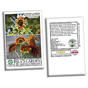 "Autumn Beauty" Sunflower Seeds for Planting, 150+ Flower Seeds Per Packet, (Isla's Garden Seeds), Non GMO Seeds, Scientific Name: Helianthus annus, Great Home Garden Gift