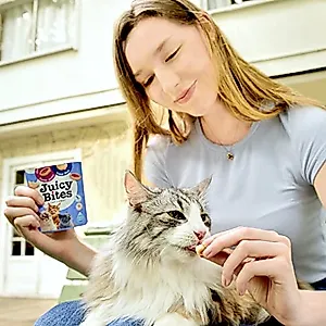 INABA Juicy Bites Grain-Free, Soft, Moist, Chewy Cat Treats with Vitamin E and Green Tea Extract, 0.4 Ounces per Pouch, 18 Pouches (3 per Bag), Tuna and Chicken