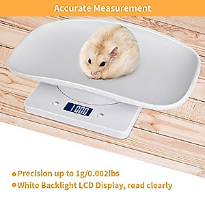 WIOR Food Scale Grams and Ounces, 22lb/10kg Digital Scale, Kitchen Scale with 1g/0.1oZ Precise Graduation, LCD Display Digital Food Scale for Kitchen, Baking, Cooking, Ingredients, Jewellery, Pet