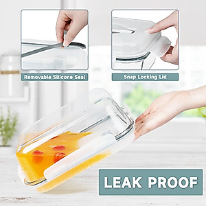 KOMUEE 9 Packs Glass Meal Prep Containers 1&2&3 Compartments,Glass Food Storage Containers with Airtight Lids，Glass Lunch Containers,Glass Bento Boxes,BPA Free,Gray