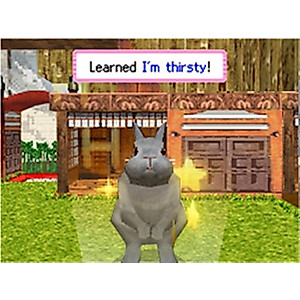 Petz Bunnyz - Nintendo DS