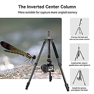 SmallRig 62.2" Carbon Fiber Tripod with Center Column, Travel Lightweight Tripods & Detachable Monopod, 360° Ball Head, Quick Release Plate, Load up to 26.5 lbs/12 kg-4059