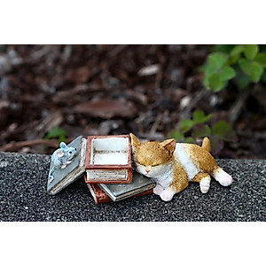 Top Collection Enchanted Story Garden Kitten Napping on Books Trinket Box and Ring Holder Outdoor Decor
